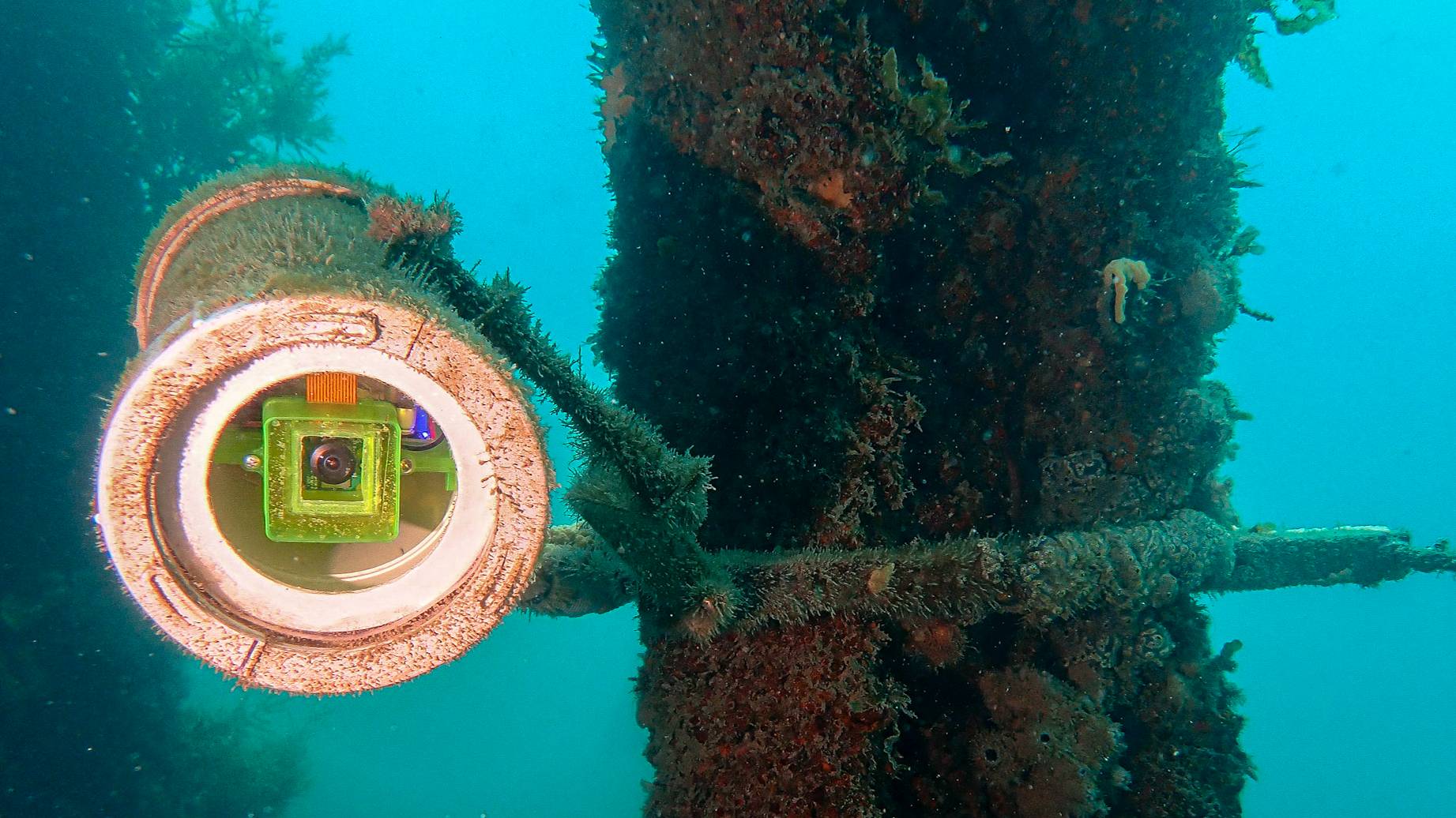 Port Noarlunga Underwater Live Streaming Camera | Chuffed | Non-profit ...