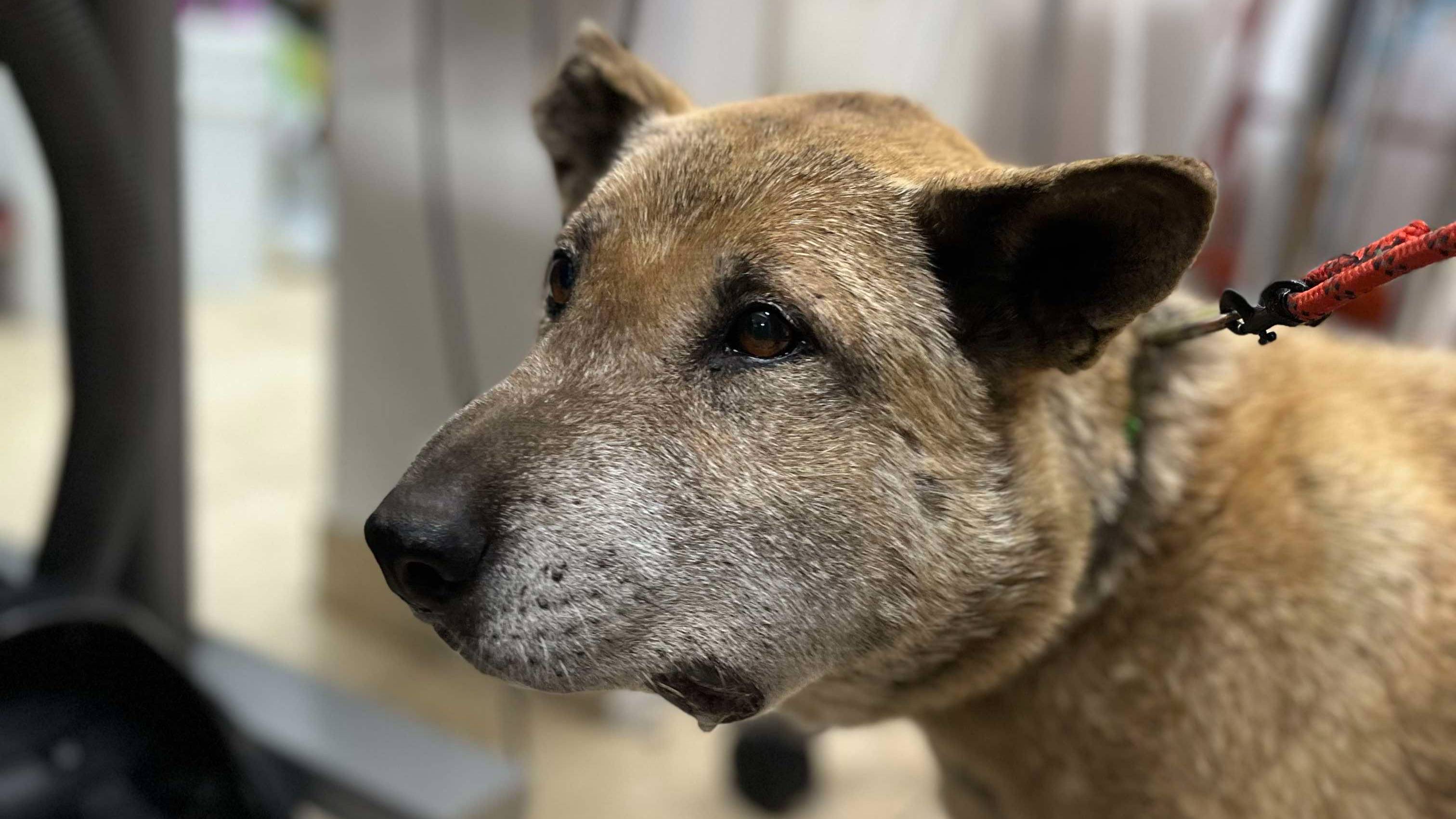 Payment | Chuffed | Non-profit charity and social enterprise fundraising