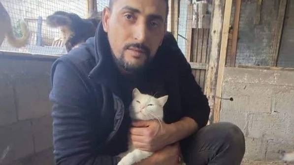 Help Walid's Cat Shelter | Chuffed | Non-profit charity and social ...
