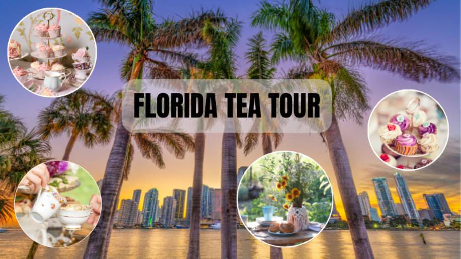 Florida Tea Tour | Chuffed | Non-profit charity and social enterprise ...