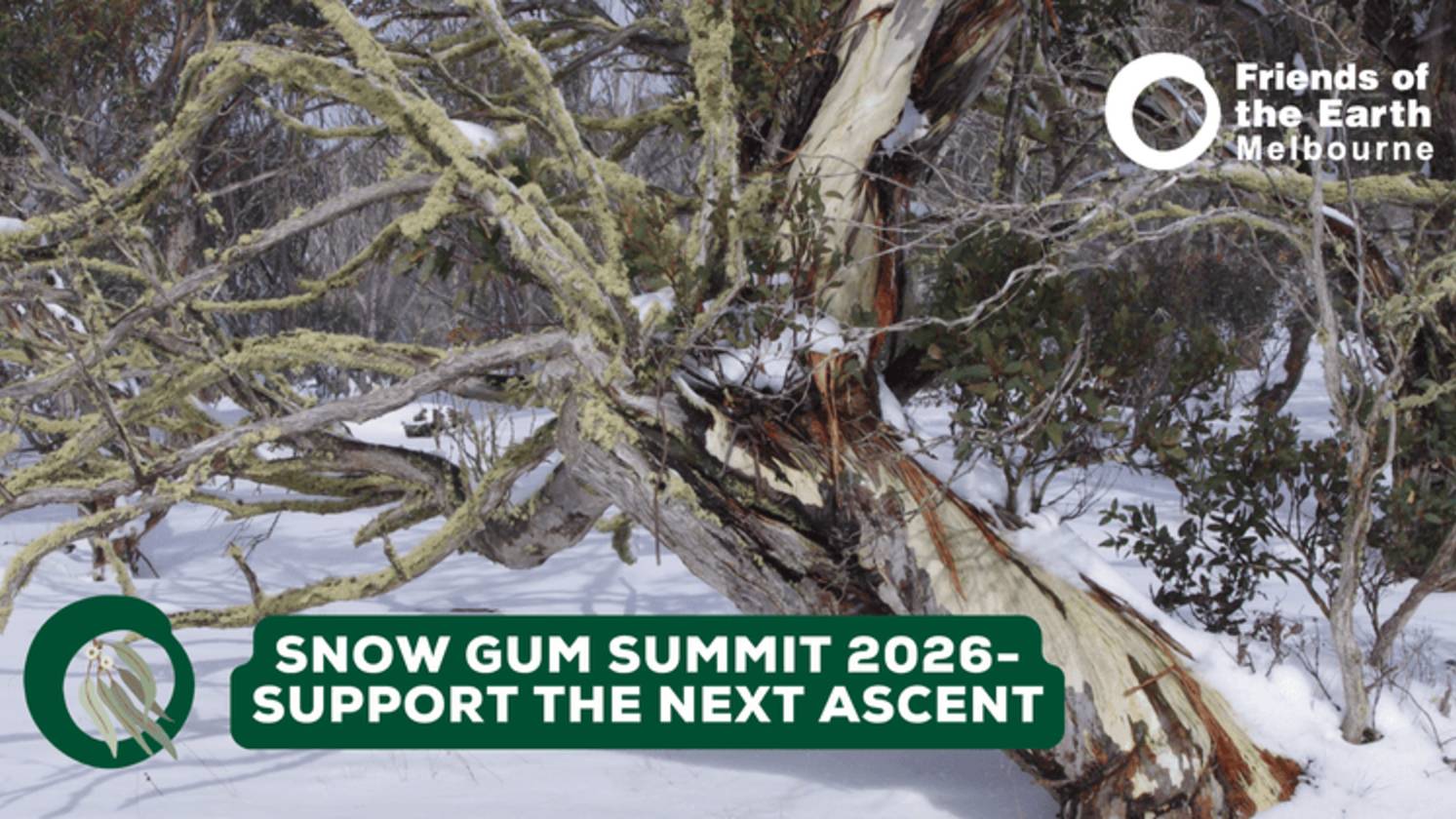 Snow Gum Summit 2026 - Support Our Next Ascent | Chuffed | Non-profit ...