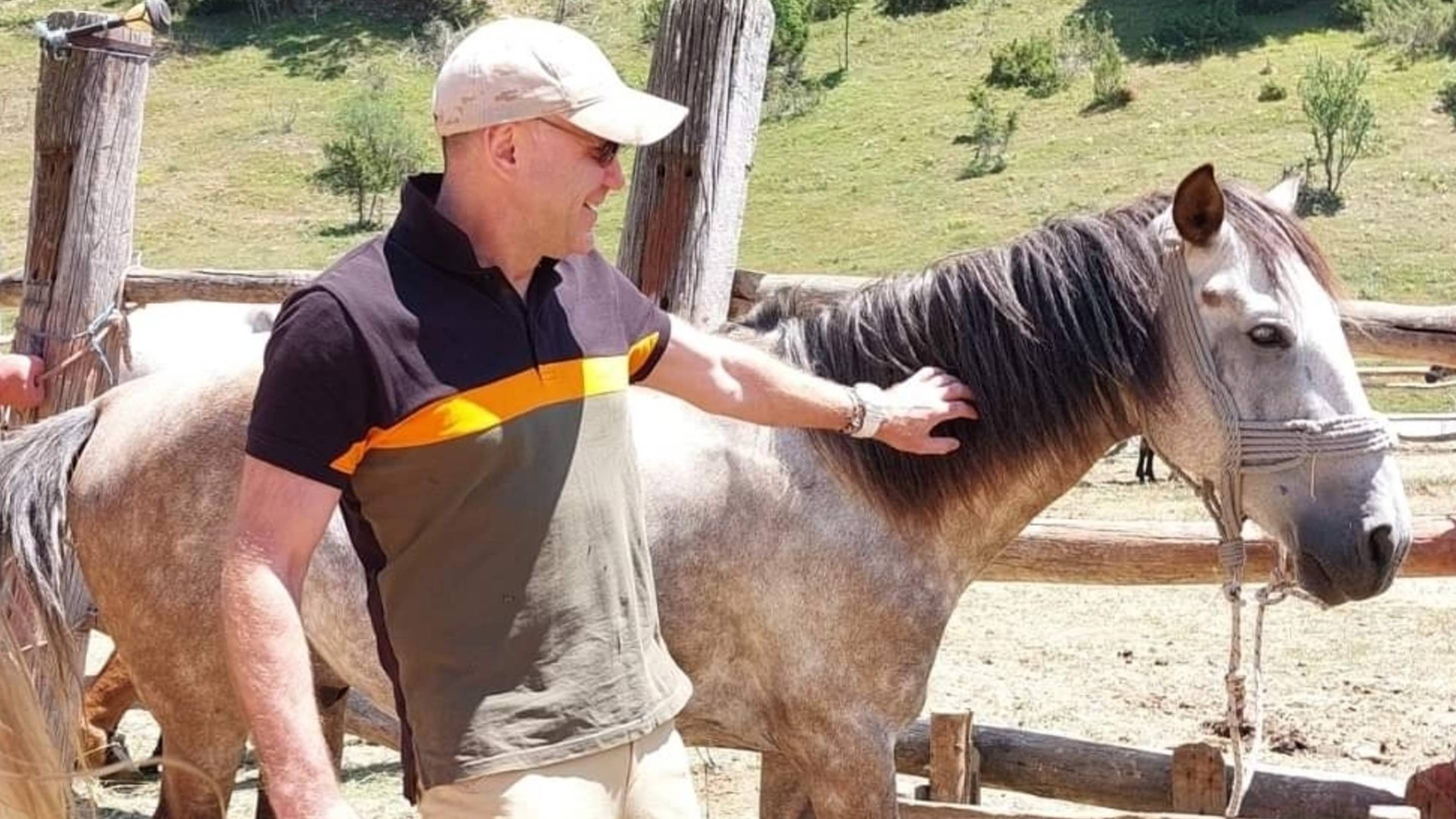 Helping stray animals in finding lasting shelter | Chuffed | Non-profit ...