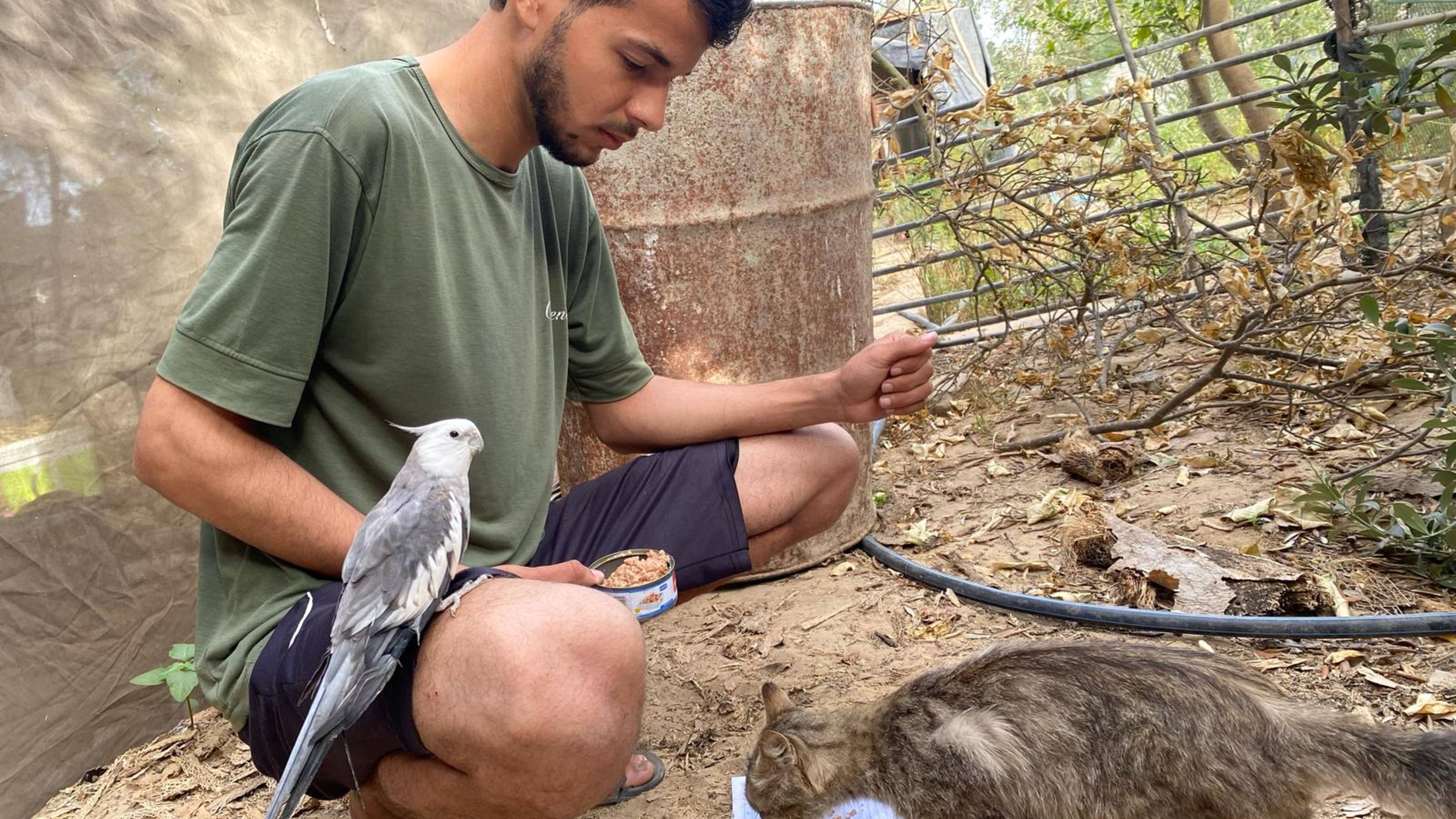 Help Me Save My Family and Complete My Education | Chuffed | Non-profit ...