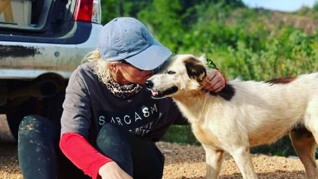 Thai Street Paws Rescue Vet Bills | Chuffed | Non-profit charity and ...