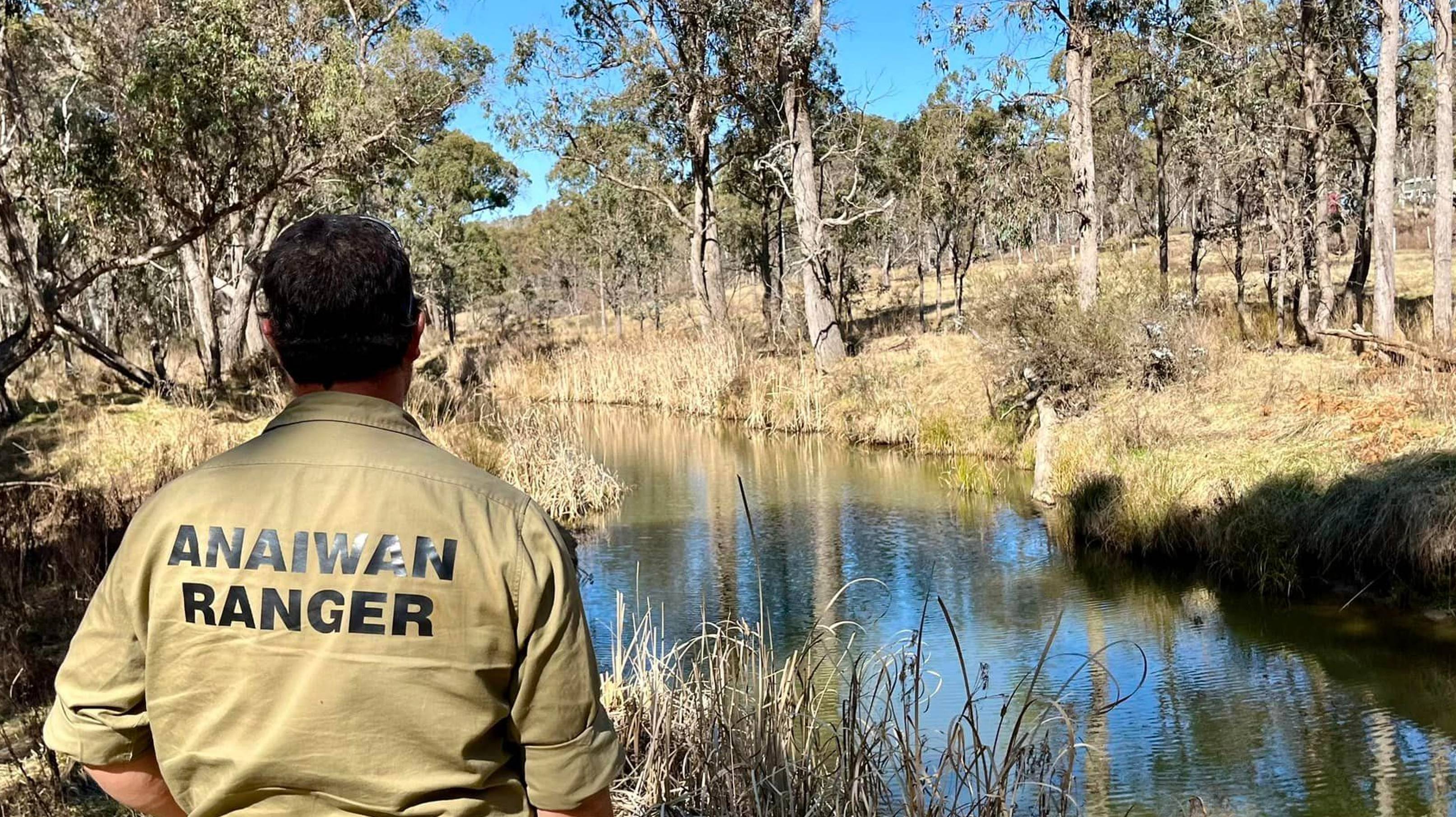 Support Anaiwan people to revive culture and care for Country | Chuffed ...