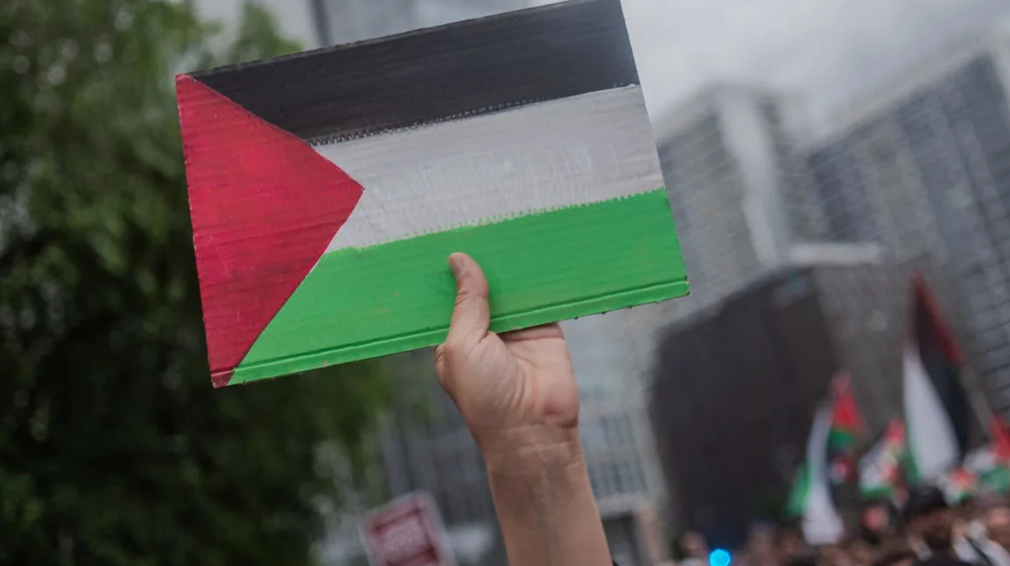 Aid for Palestinians | Chuffed | Non-profit charity and social ...