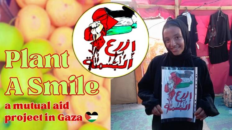 Plant a Smile in Deir al-Balah, Gaza | Chuffed | Non-profit charity and ...