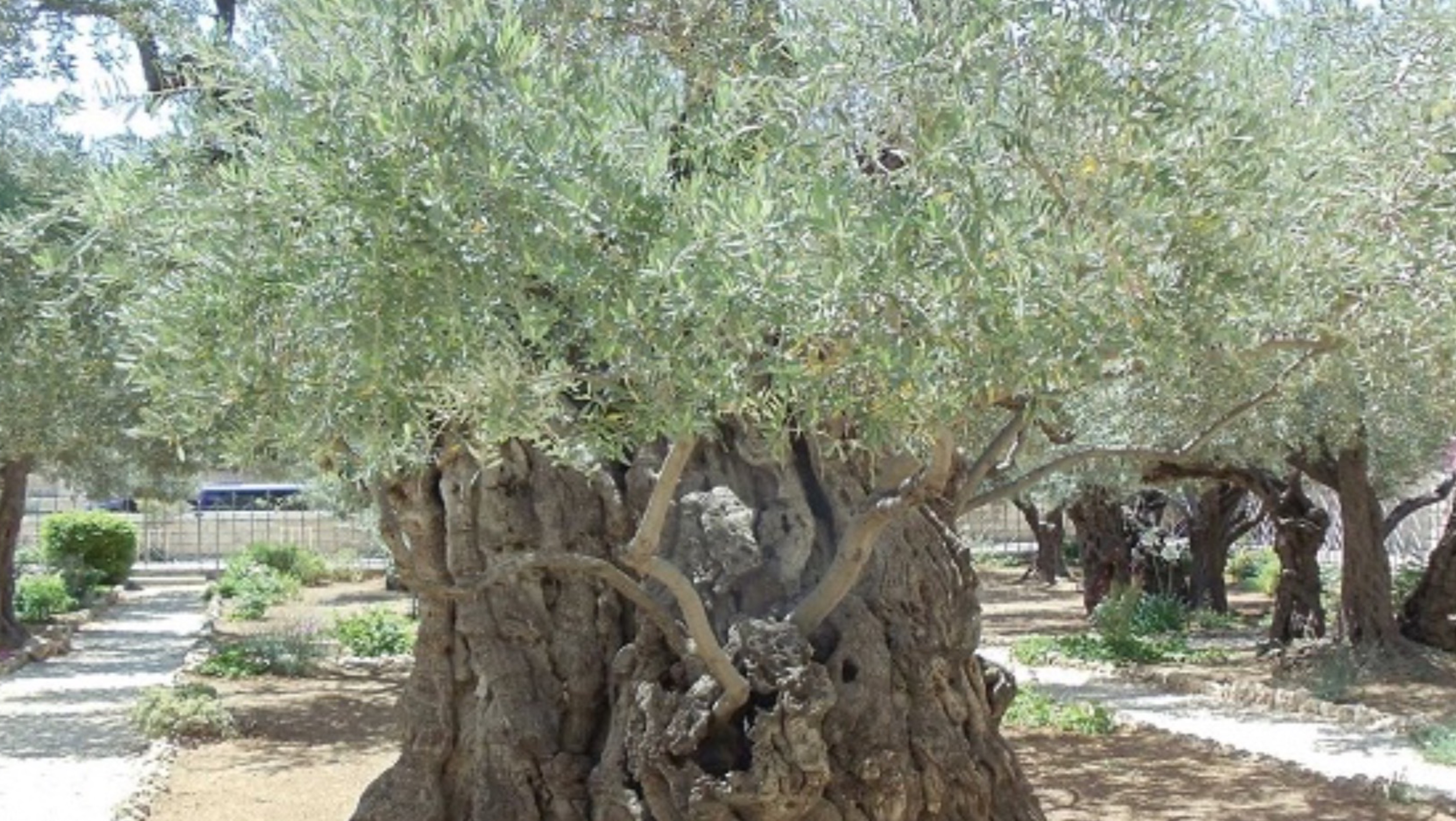 28: A Birthday in Solidarity | Chuffed | Non-profit charity and social ...