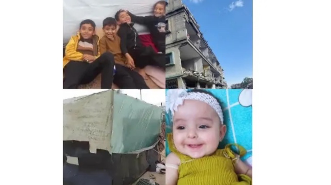 Help the Displaced Mahmoud Family in Gaza to Survive | Chuffed | Non ...