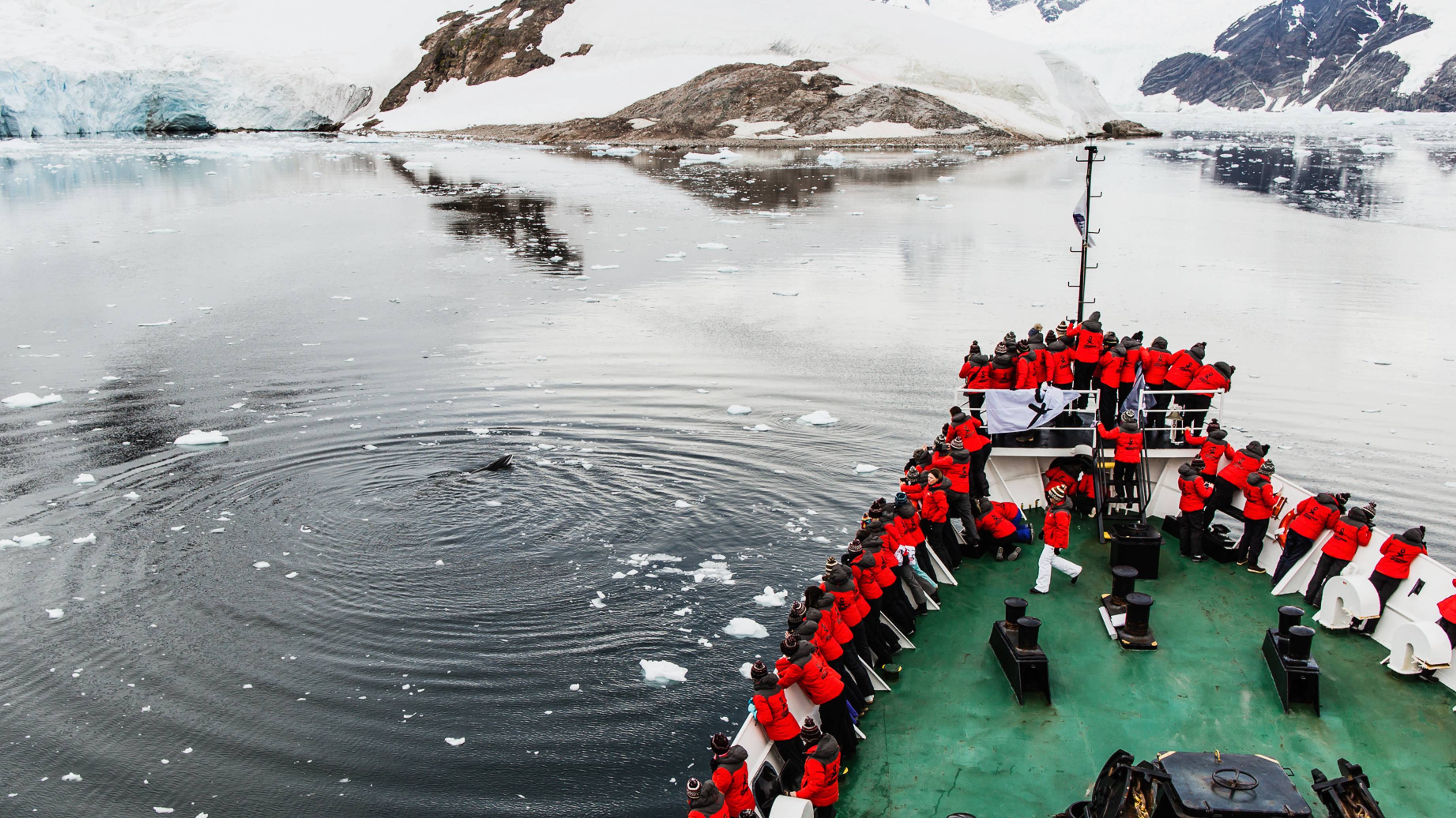 Antarctica - leading change in your climate journey! | Chuffed | Non ...