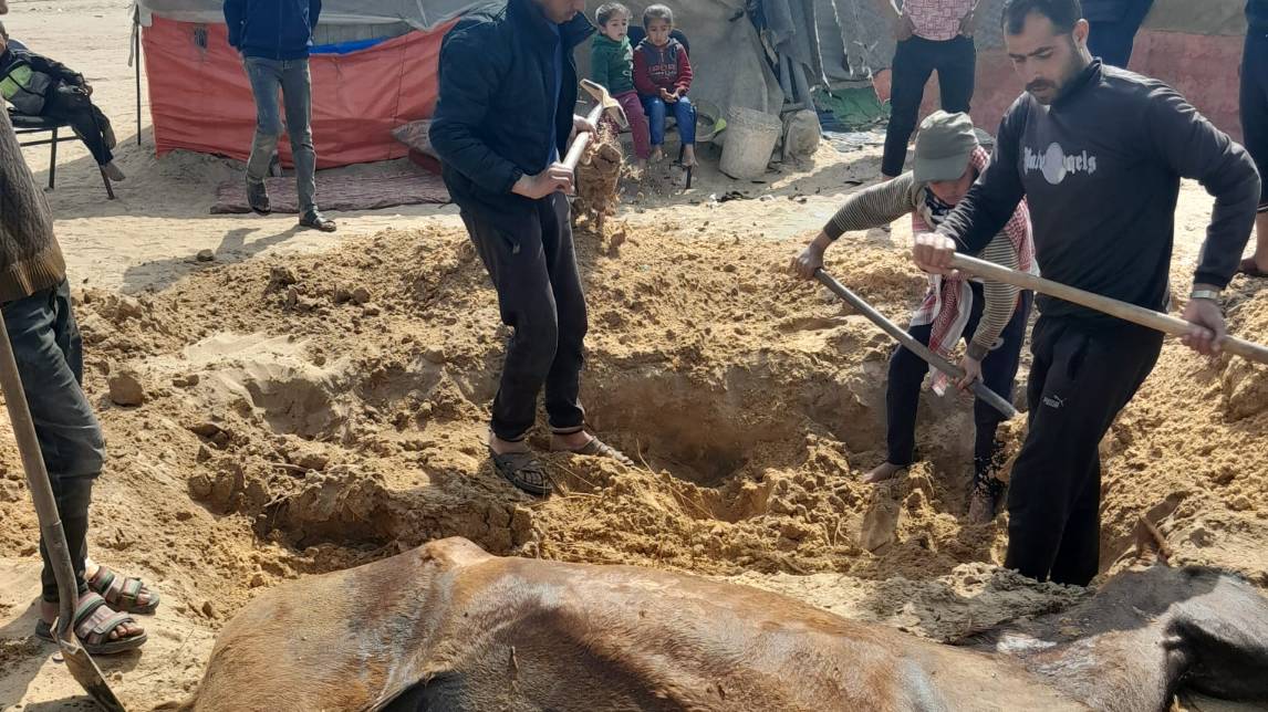 Help Ayman Restore His Livelihood and Bring Hope Back to His Family ...