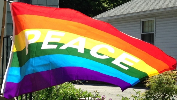 The Rainbow Peace Flag Project | Chuffed | Non-profit charity and ...