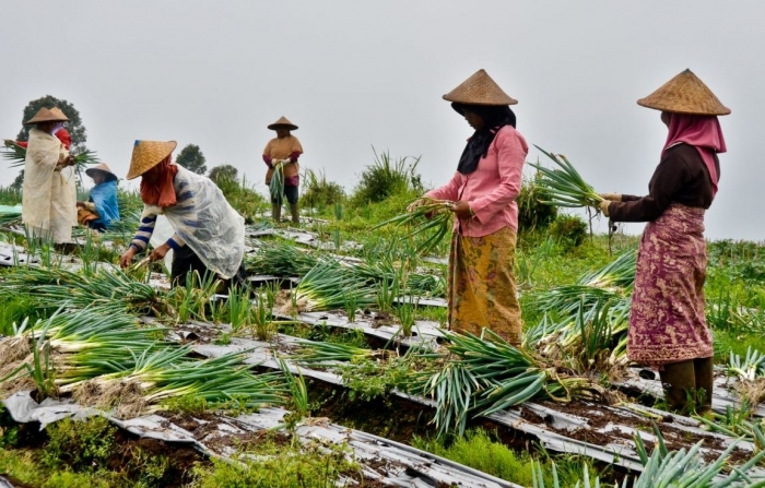 Cassava Project | Chuffed | Non-profit charity and social enterprise ...