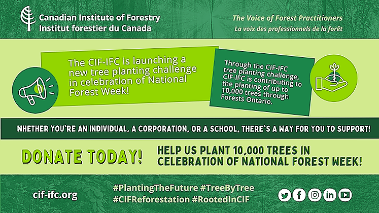Planting the Future - 2024 CIF-IFC Tree Planting Challenge | Chuffed ...
