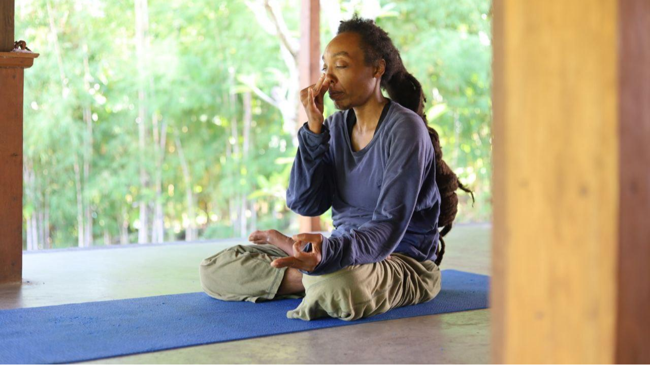 History’s Being Minted—Grab Double $HEALSOL Before It’s Gone | Chuffed ...