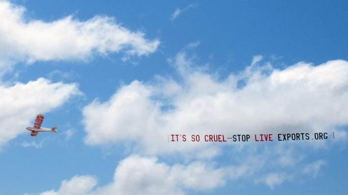 Stop Live Exports Aerial Banner | Chuffed | Non-profit charity and ...