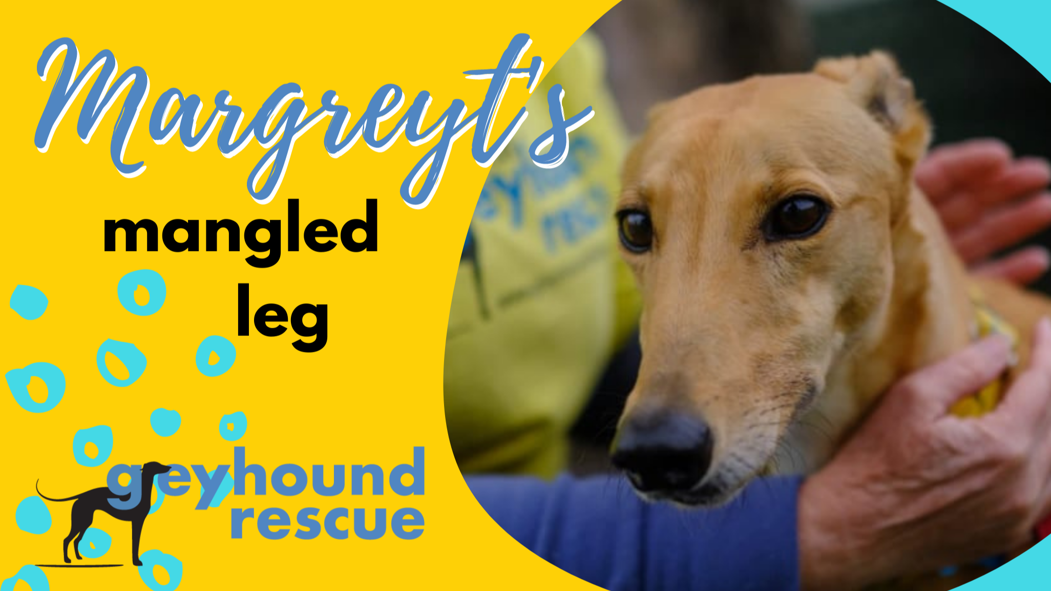Margreyt's Mangled Leg | Chuffed | Non-profit charity and social ...