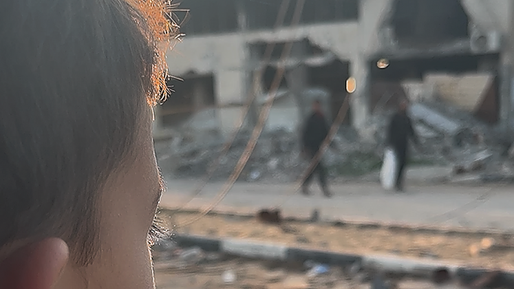 Help Rebuild Iyad & Isra's poultry farm destroyed during genocide ...