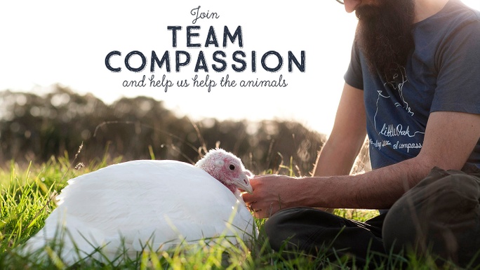 Join Team Compassion | Chuffed | Non-profit charity and social ...
