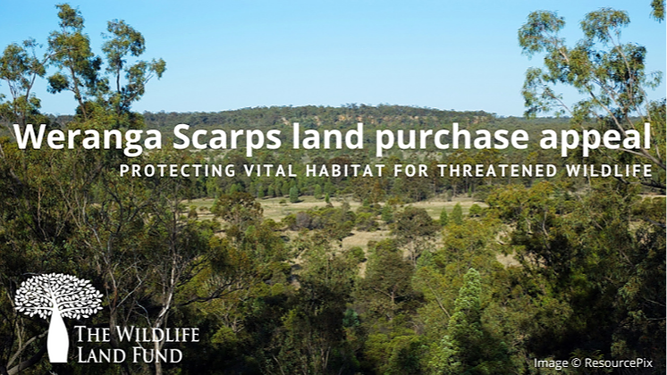 Weranga Scarps Land Purchase Appeal | Chuffed | Non-profit charity and ...