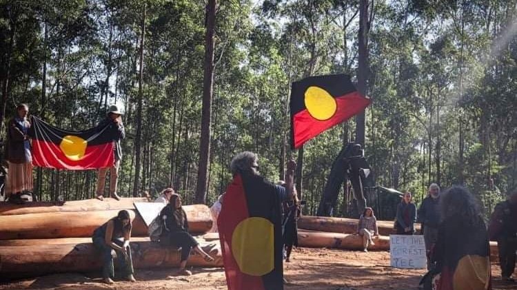 Supporting Front Line First Nations Land Protectors | Chuffed | Non ...