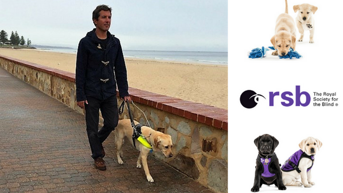 Help Train a RSB Guide Dog | Chuffed | Non-profit charity and social ...