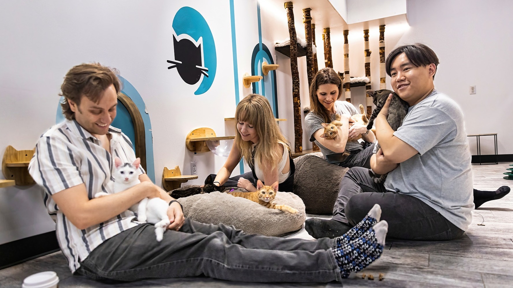 Giving Tuesday: Cat Lovers Unite for Rescued Cats ️ | Chuffed | Non ...