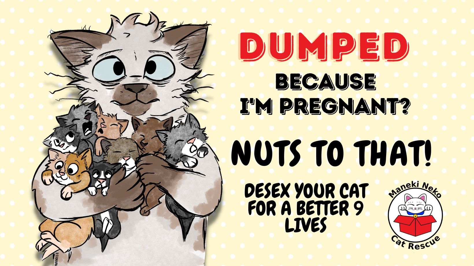 Nuts to That! Cat Desexing Program | Chuffed | Non-profit charity and ...