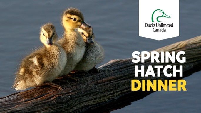 Ducks Unlimited Canada Spring Hatch - Winnipeg South Committee ...