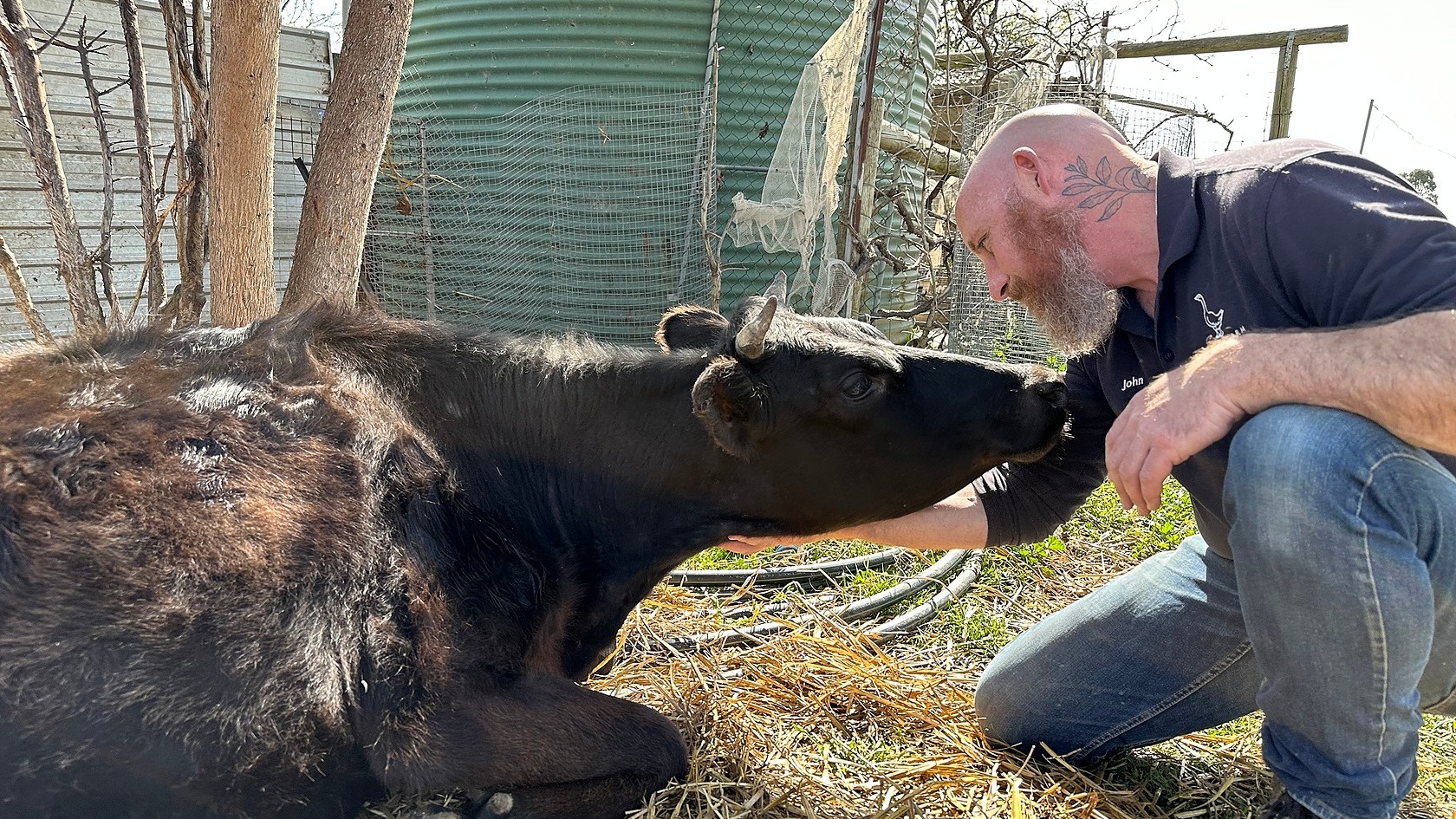 Help us build safe areas for these beautiful animals | Chuffed | Non ...