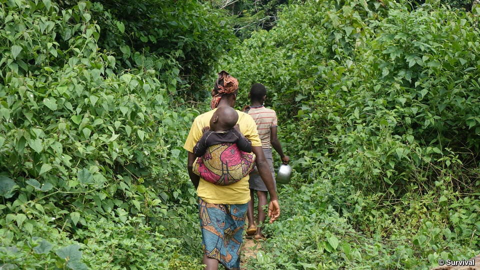 Support Cameroon's Indigenous-People's Right to Self-determination ...