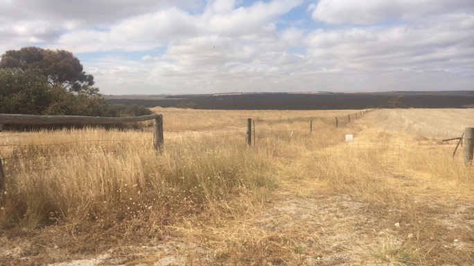 Gondwana Link: Supporting a Critical Revegetation Project | Chuffed ...