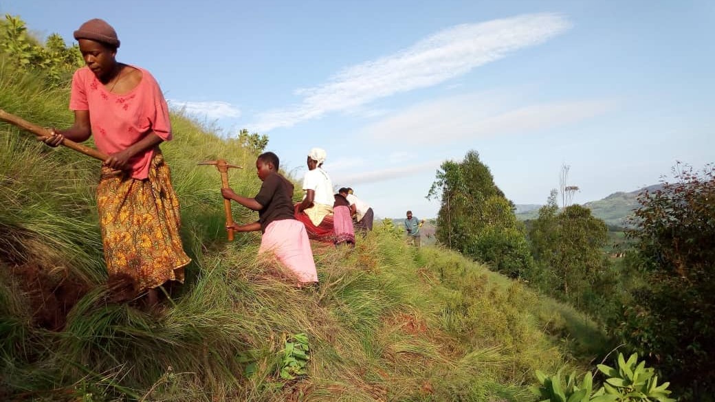 Planting a Million Trees | Chuffed | Non-profit charity and social ...