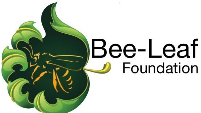 The Bee-Leaf Foundation - Helping never felt better | Chuffed | Non-profit charity and social ...