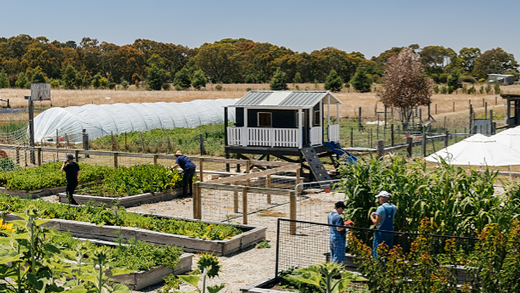 Common Ground Project's Compost Fundraiser | Chuffed | Non-profit ...