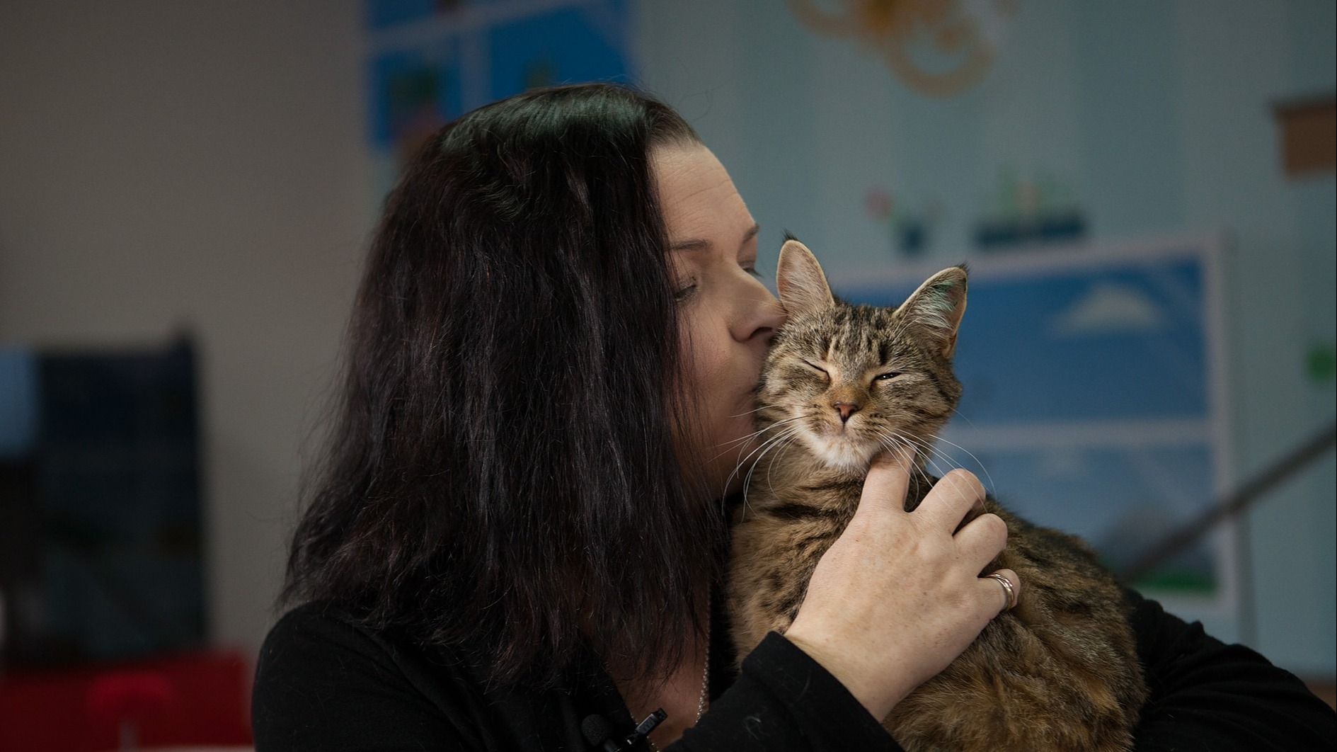 Companion Animal Crisis Centre | Chuffed | Non-profit charity and ...