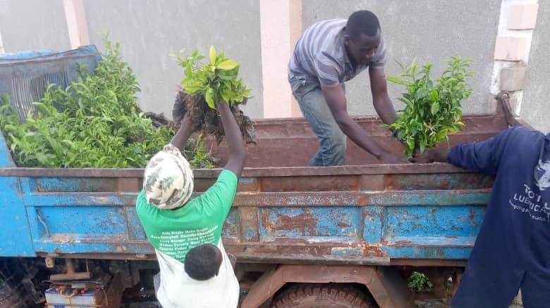 Planting a Million Trees | Chuffed | Non-profit charity and social ...