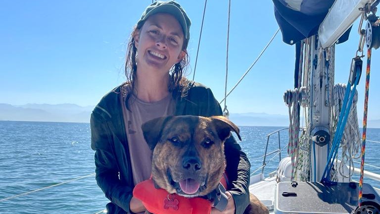 Keep the Sailing Vet Clinic afloat | Chuffed | Non-profit charity and ...