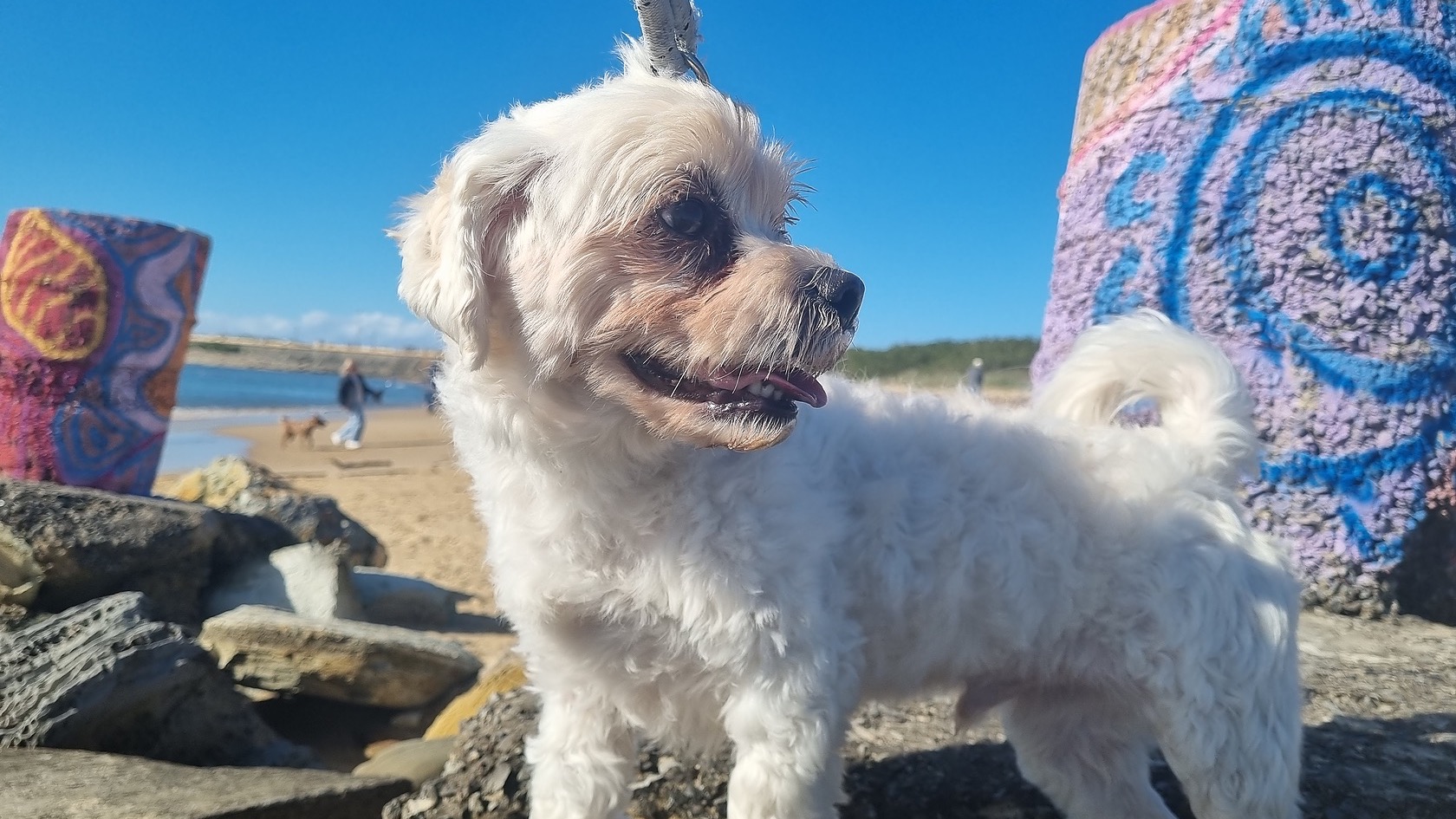 Sam's Smile | Chuffed | Non-profit charity and social enterprise ...