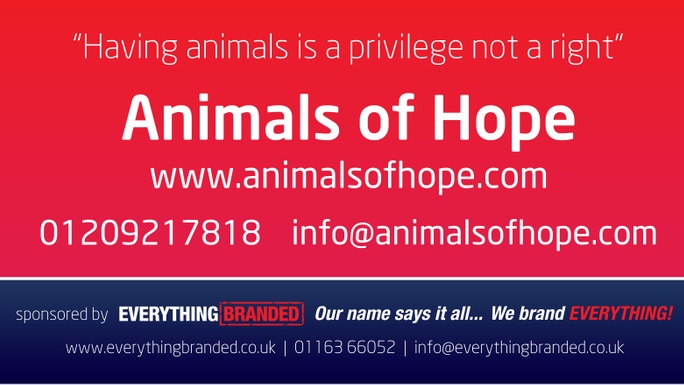 Animals of Hope Spay & Neuter Vet Bills | Chuffed | Non-profit charity ...