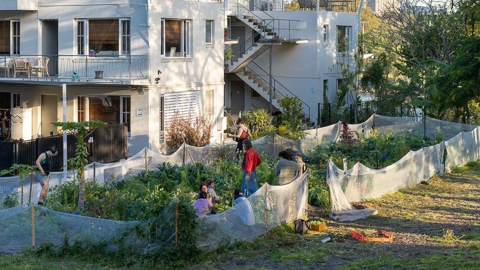 New Growing Forward Garden | Chuffed | Non-profit charity and social ...