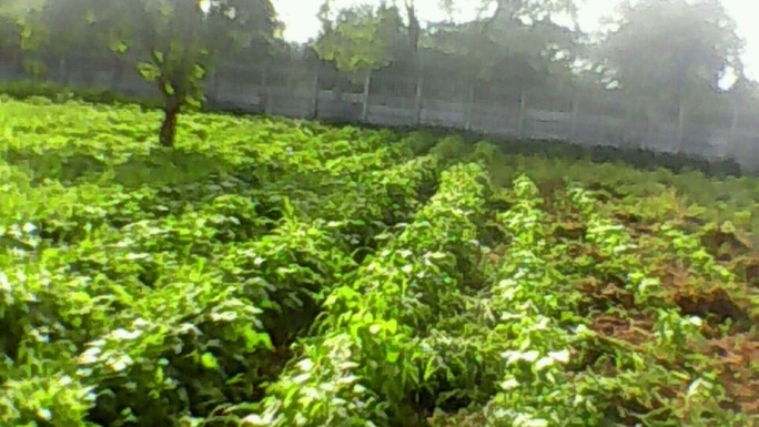 Bulilima and Mangwe Relief | Chuffed | Non-profit charity and social ...