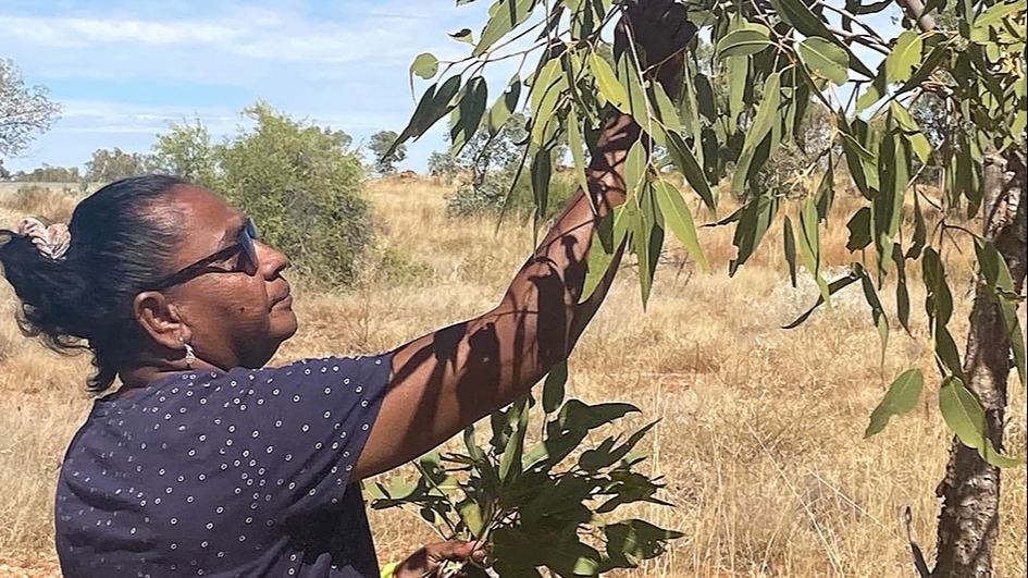 Gija staff to World Indigenous Peoples' Conference in Education ...
