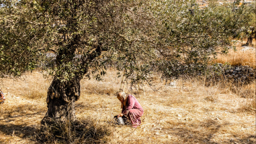 Payment | Chuffed | Non-profit charity and social enterprise fundraising