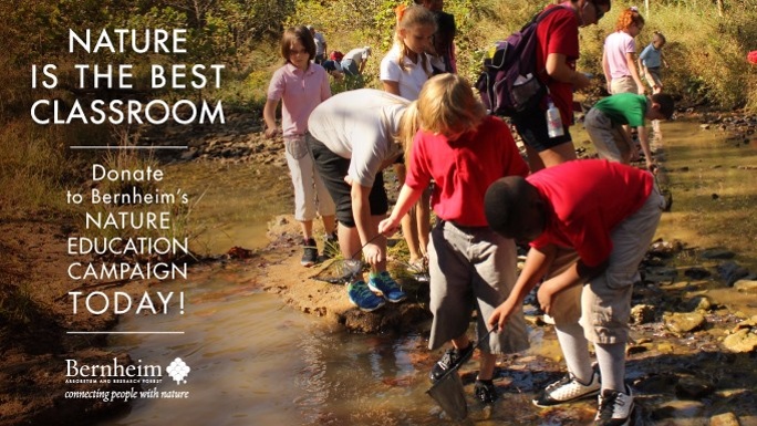 Nature Education Campaign | Chuffed | Non-profit charity and social ...