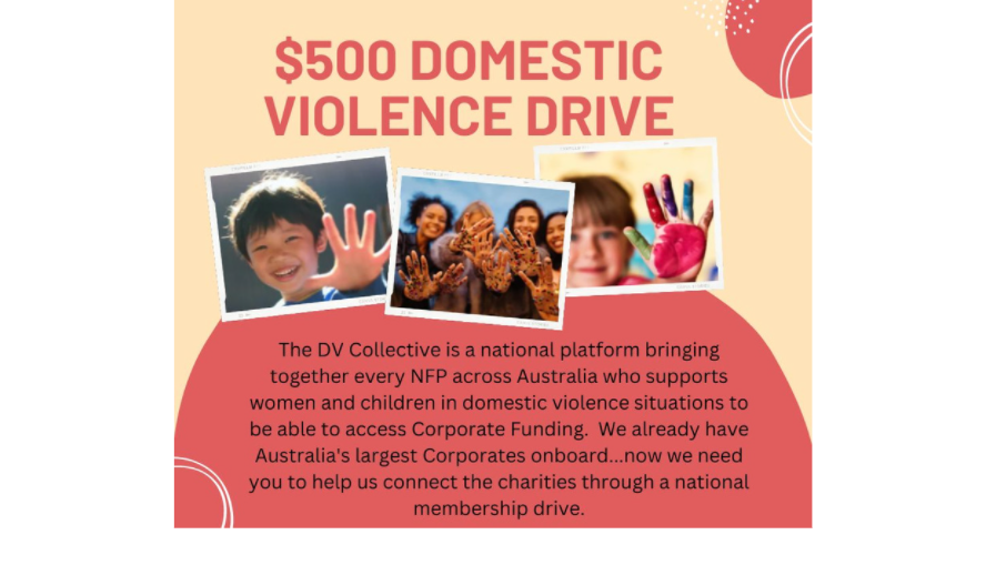 The DV Collective - $500 Membership Drive | Chuffed | Non-profit ...
