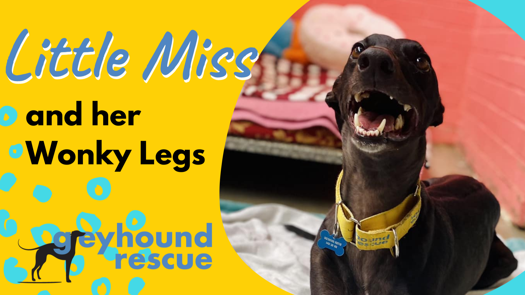 Little Miss and her wonky legs | Chuffed | Non-profit charity and ...