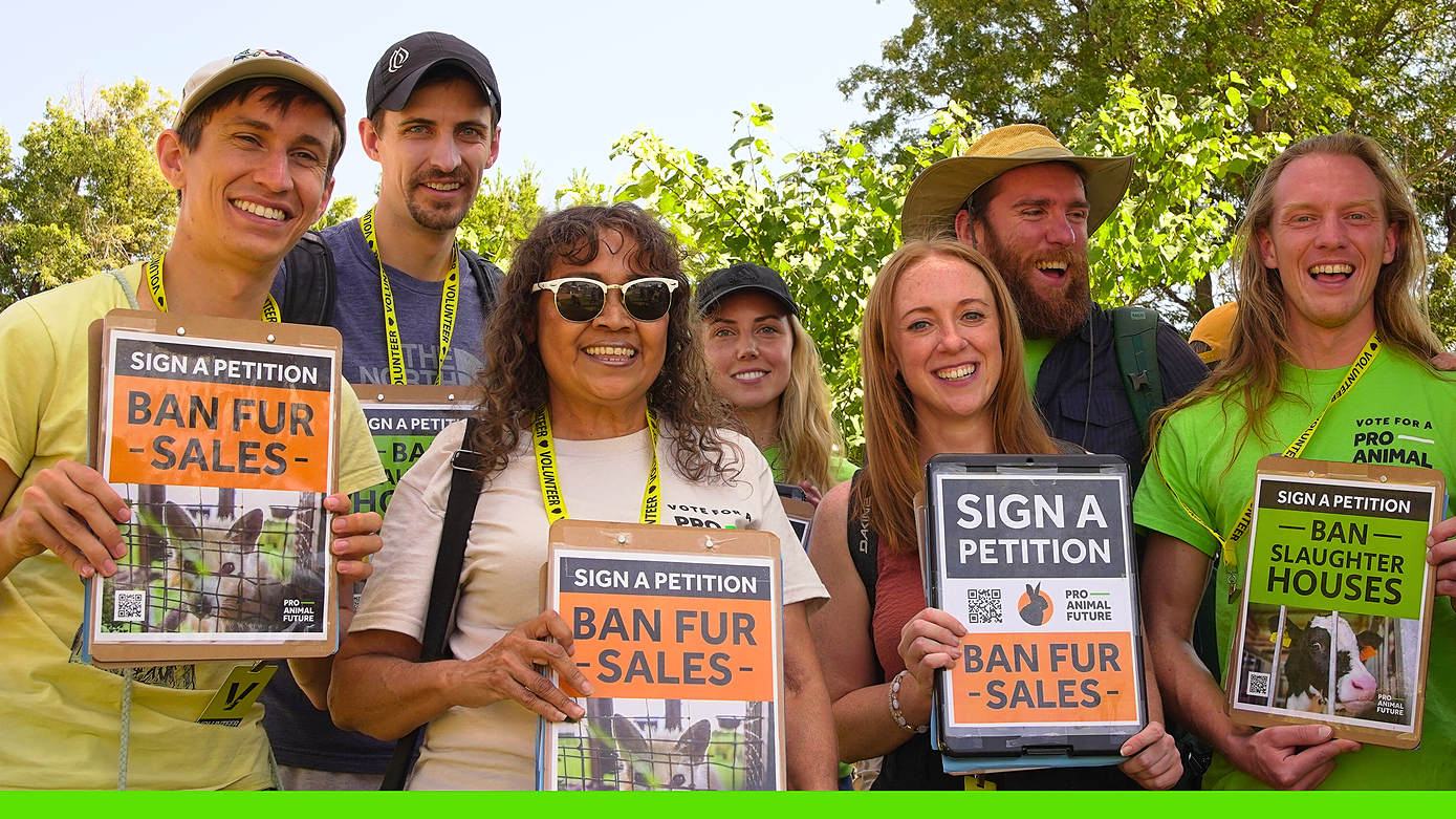 Secure Victory for Groundbreaking Fur and Slaughterhouse Bans in Denver ...