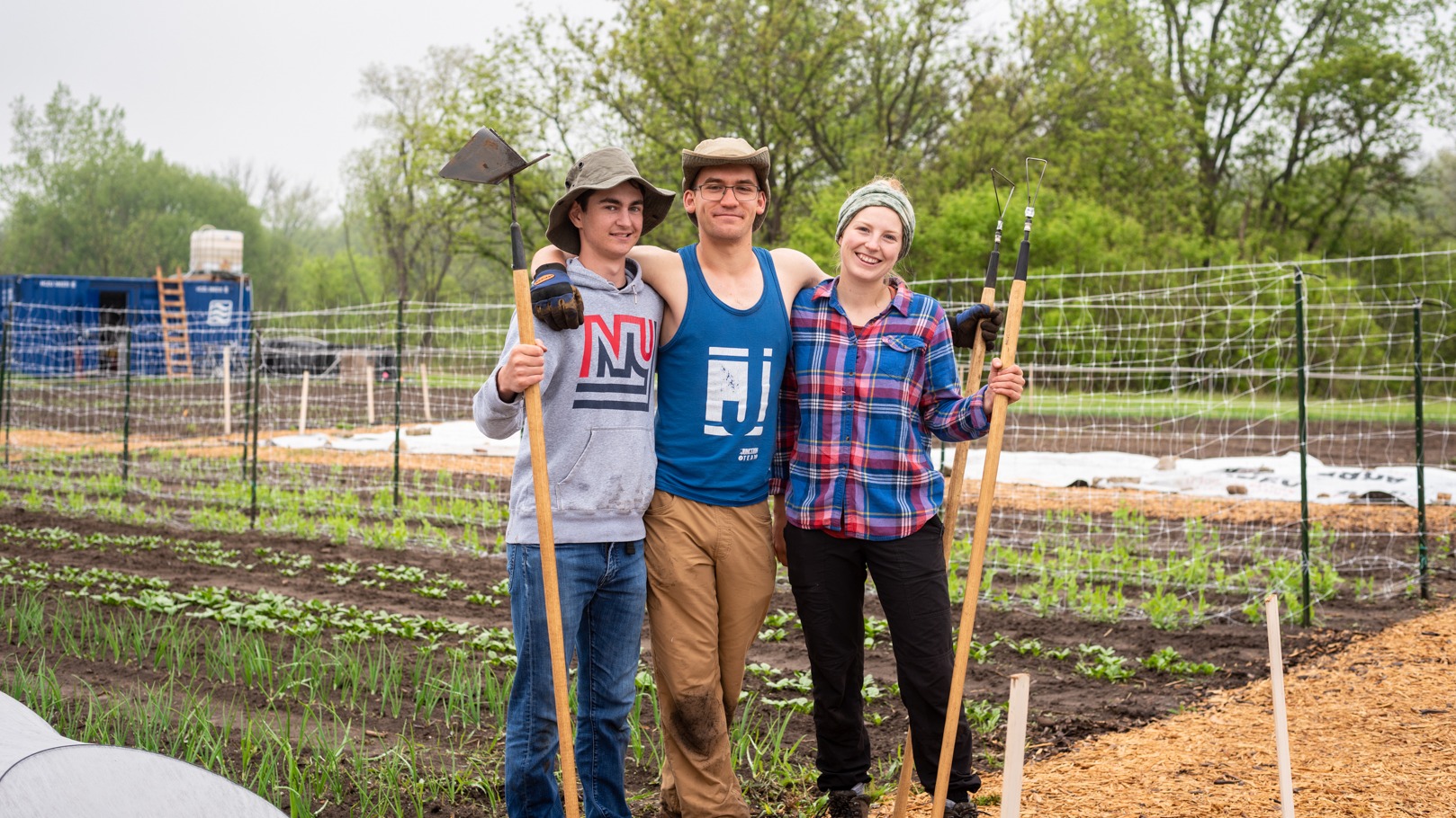 Urban Roots London: Land Security for Food Security | Chuffed | Non ...