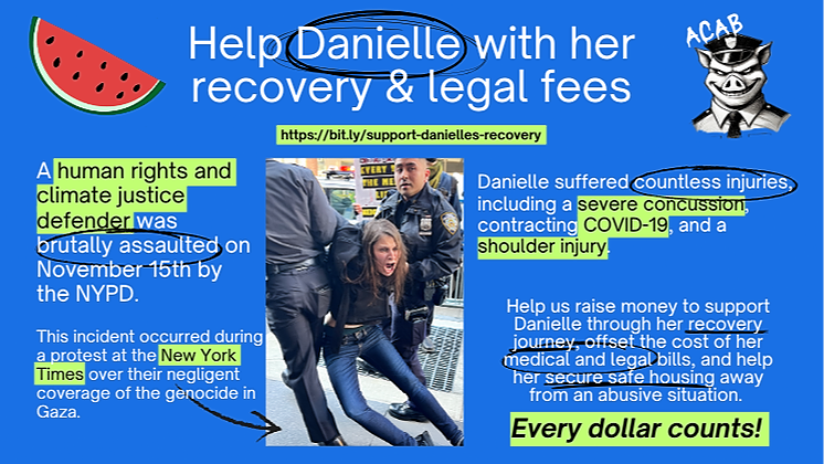 Support Danielle’s Recovery Journey and Legal Fees | Chuffed | Non ...